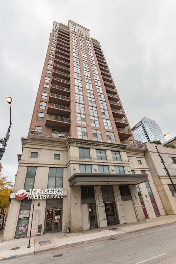 1101 S State St Unit 905, Chicago, IL 60605 - Condo for Rent in Chicago ...
