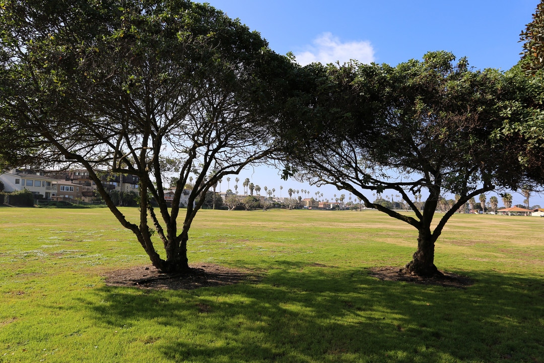 Is Point Loma Heights a Good Place To Live in San Diego CA ...