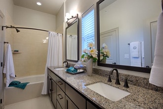 Domain Memorial Rentals - Houston, TX | Apartments.com