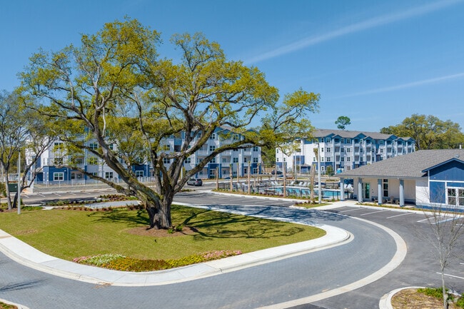 Apartments For Rent in Bellview FL - 156 Rentals | Apartments.com