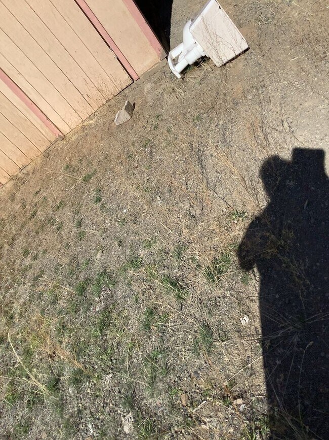 5531 Bly Mountain Cutoff Rd, Bonanza, OR 97623 - House Rental in ...