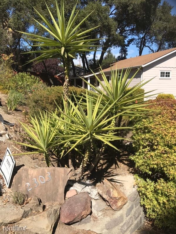 2303 Pullman Ave, Belmont, CA 94002 - House Rental in Belmont, CA ...
