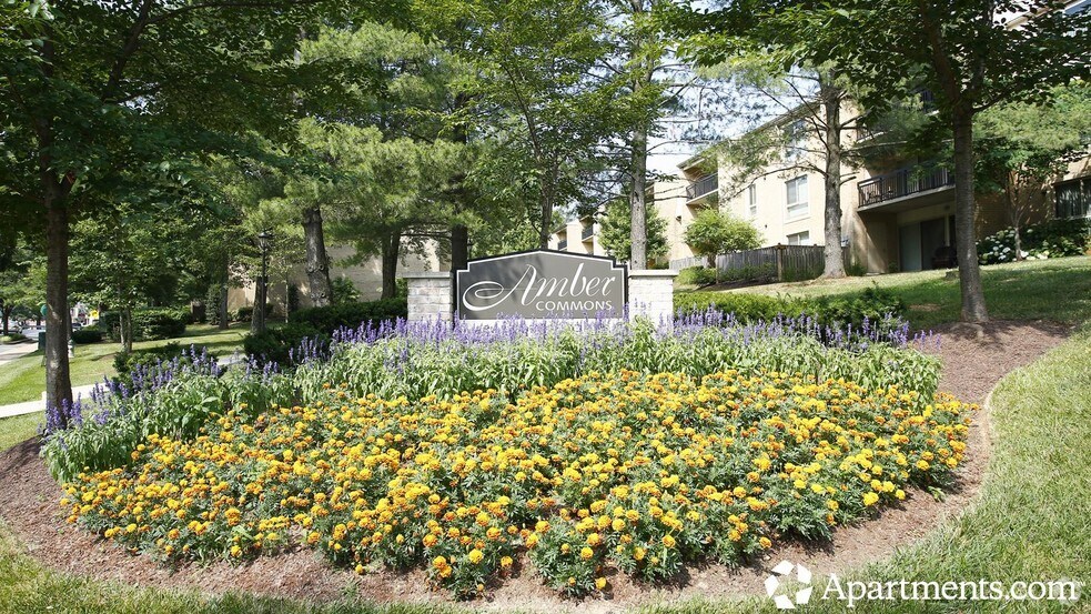 Amber Commons Rentals - Gaithersburg, MD | Apartments.com
