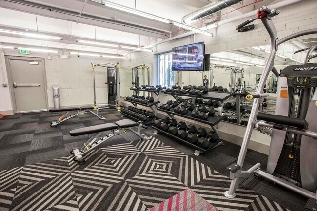 Mint Urban Infinity - Apartments in Denver, CO | Apartments.com