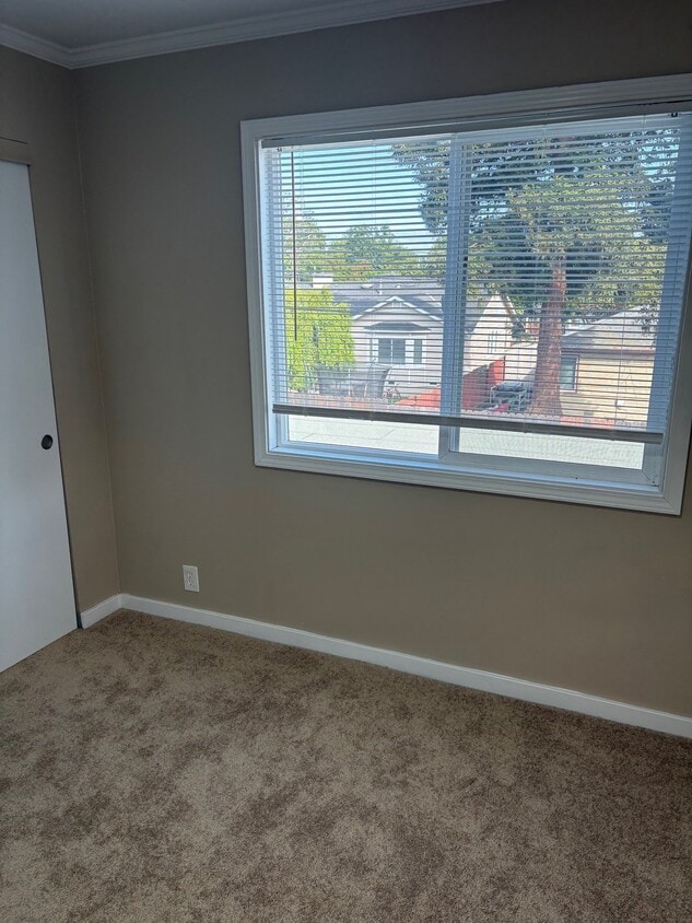 1411 E 3rd Ave Unit 6, San Mateo, CA 94401 | Apartments.com