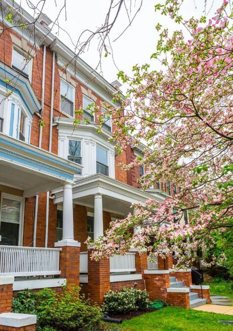 1738 Park Rd NW Unit 2, Washington, DC 20010 - Condo for Rent in ...