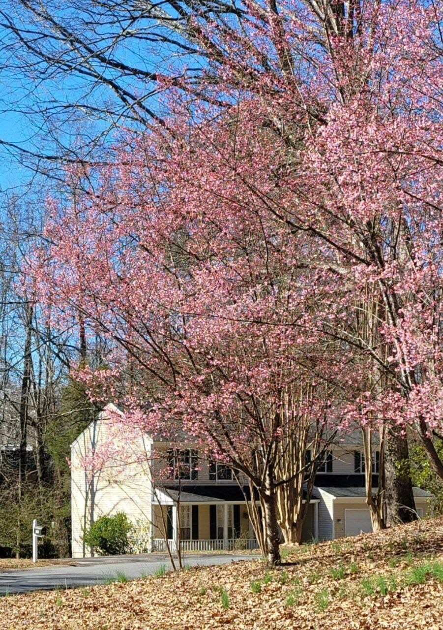 1376 Heritage Glen Dr, Marietta, GA 30068 - House Rental in Marietta ...