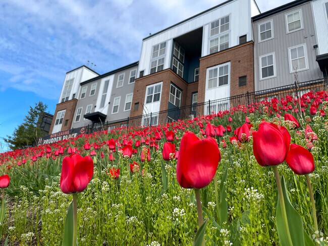 Old Town Lansing Loft Apartments for Rent - Lansing, MI - 10 Rentals ...