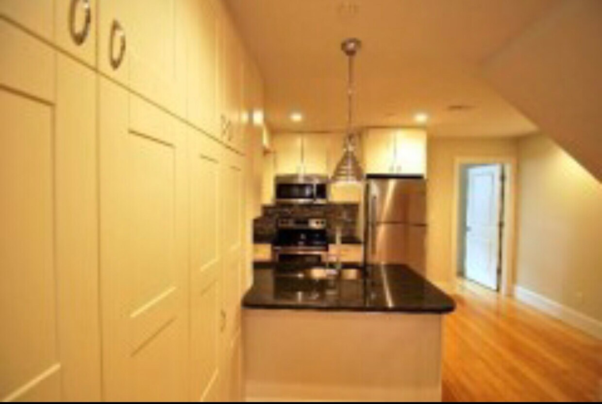 57 Fort Ave Unit 1, Boston, MA 02119 - 57 Fort Ave Boston, MA 02119 ...