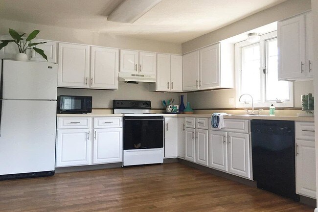 Alpine Commons Rentals - Amherst, MA | Apartments.com