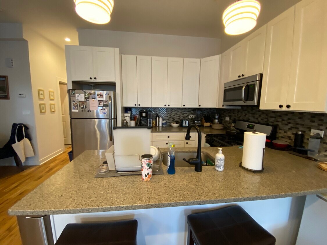 245 W Willow St Unit 1, Chicago, IL 60614 - 245 W Willow St Chicago, IL ...
