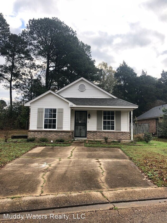 579 Shady Grove E, Hernando, MS 38632 - House Rental in Hernando, MS ...