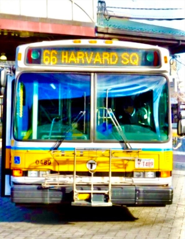 3 Higgins St Unit 4, Boston, MA 02134 - Room for Rent in Boston, MA ...