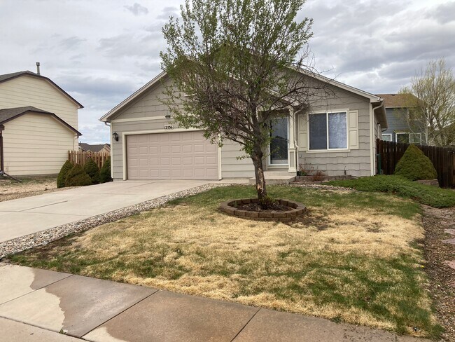 12536 Scamper Rd, Peyton, CO 80831 - House Rental in Peyton, CO ...