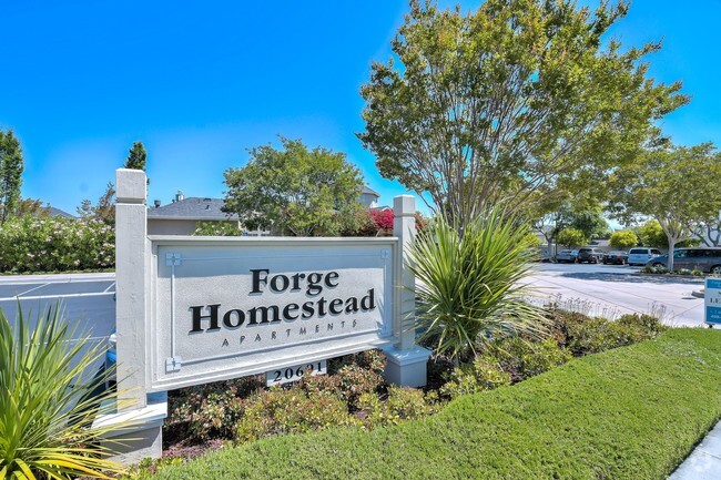 Homestead Terrace Apartments for Rent with High Ceilings - Sunnyvale ...