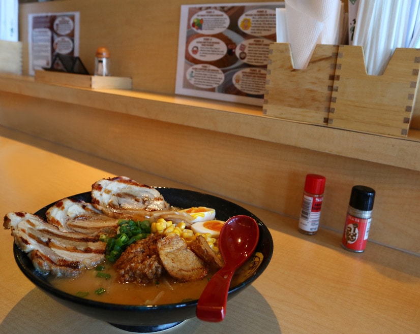 Is Des Plaines/Arlington Hts Corridor a Good Place To Live in Elk Grove ...