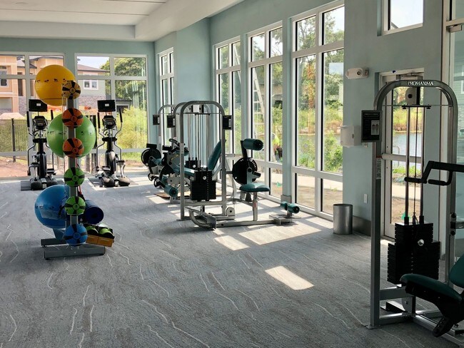 The Addison On Long Bayou Apartments - Seminole, FL | Apartments.com