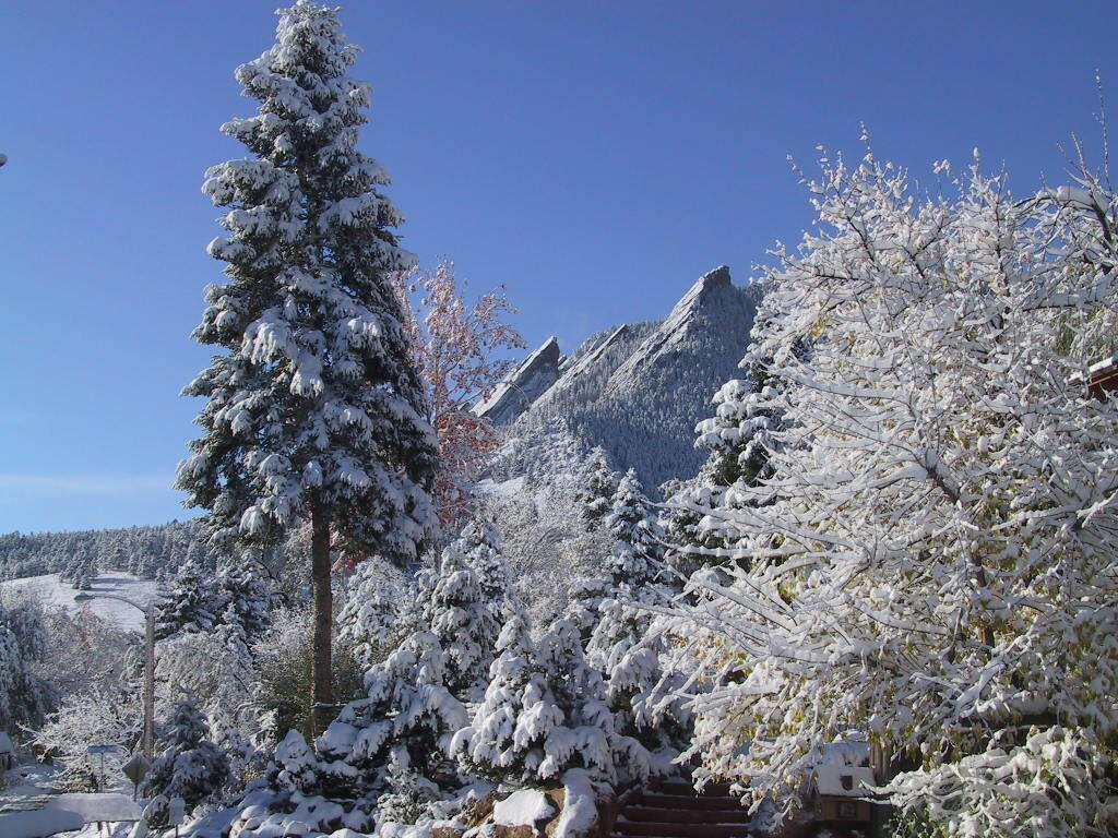 1099 Gilbert St, Boulder, CO 80302 - House Rental in Boulder, CO ...