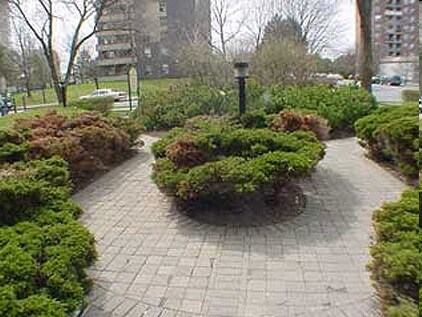 Viewpoint Towers Apartments - 35 Canyon Ave Toronto, ON | Apartments.com