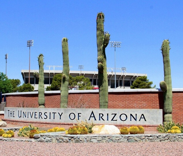University of Arizona - Tucson, AZ: Campus Guide | Apartments.com