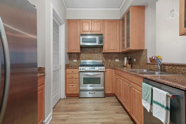 420 E Waterside Dr Unit 209, Chicago, IL 60601 - Condo for Rent in ...