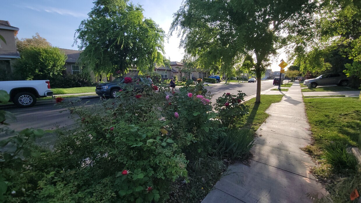 2371 Ortiz Ave, Woodland, CA 95776 - House Rental in Woodland, CA ...