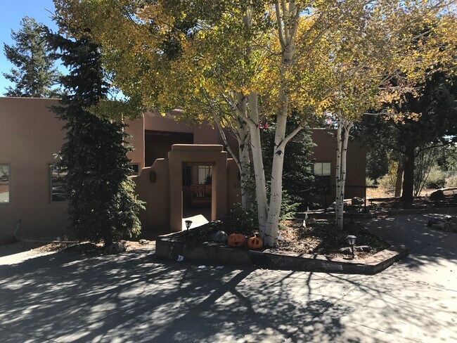 2020 Torreon, Los Alamos, NM 87544 - House Rental in Los Alamos, NM ...