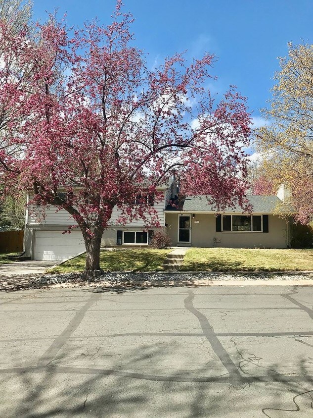 2510 Fairview Cir, Colorado Springs, CO 80909 - House Rental in ...