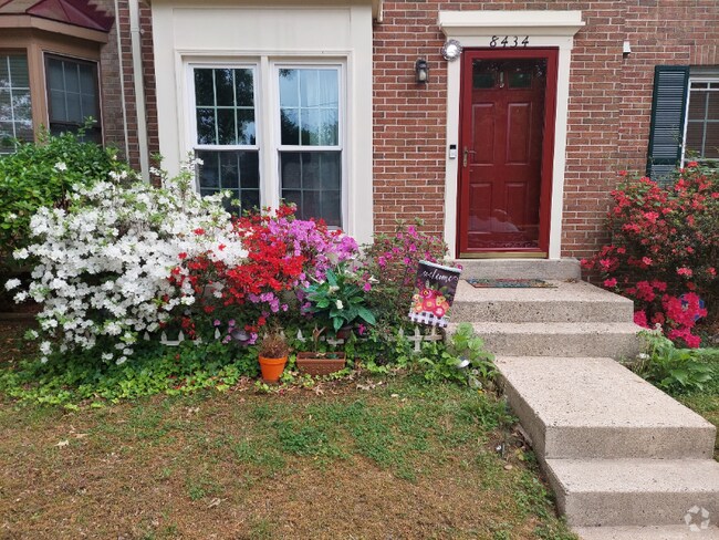 Cheap Terra Grande Apartments for Rent - Springfield, VA - Updated ...