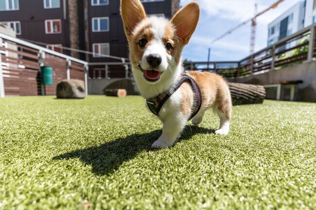 Stack House - Apartments in Seattle, WA | Apartments.com