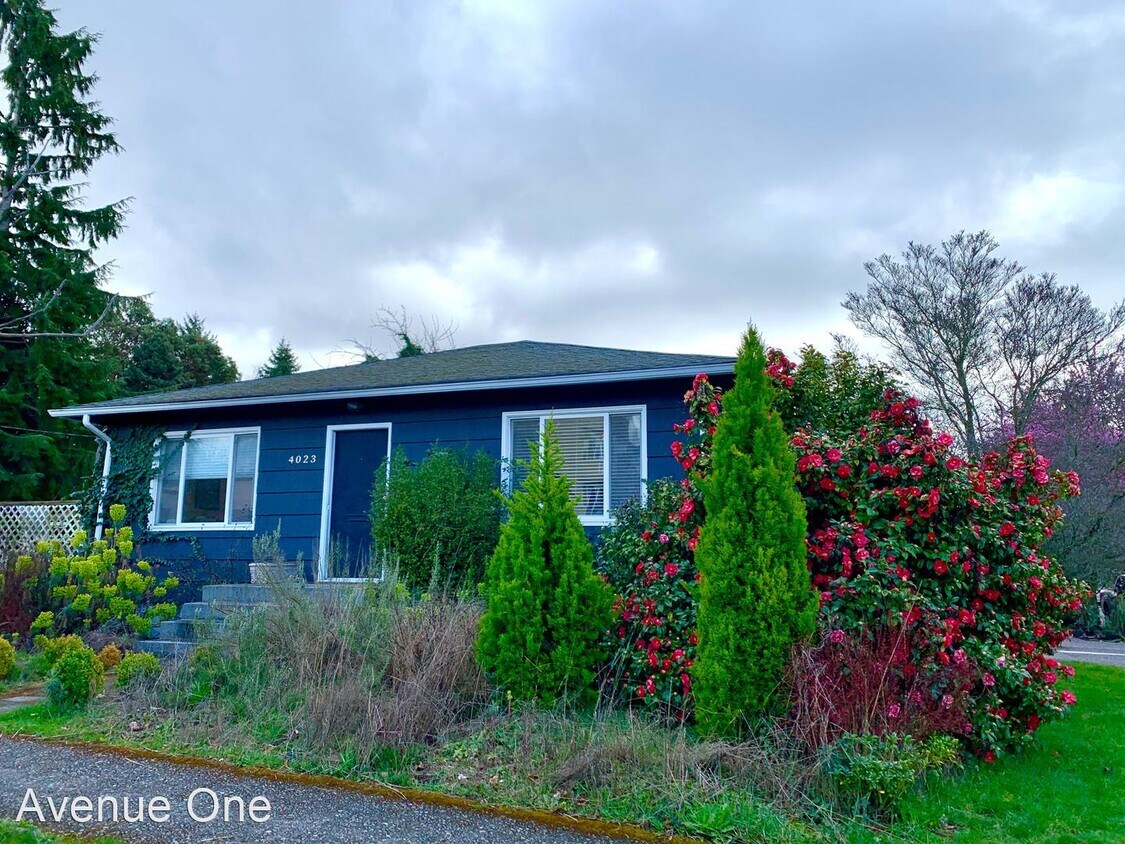 4023 SW Graham St, Seattle, WA 98136 - House Rental in Seattle, WA ...