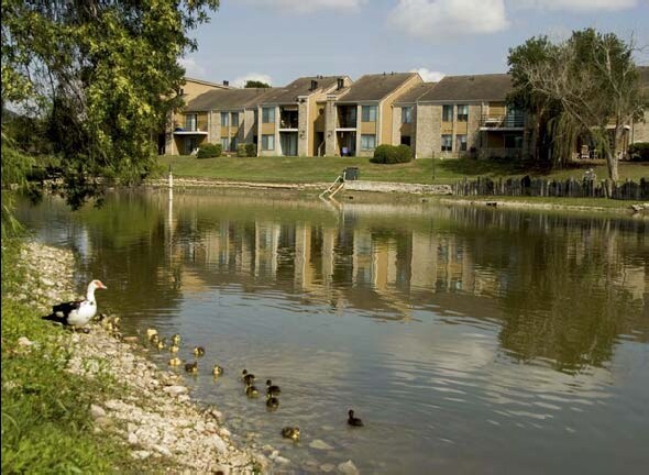 Regatta Apartments - 12635 Scarsdale St San Antonio, TX | Apartments.com