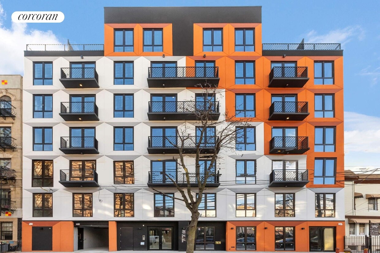 1169-hoe-ave-unit-5d-the-bronx-ny-10459-room-for-rent-in-the-bronx