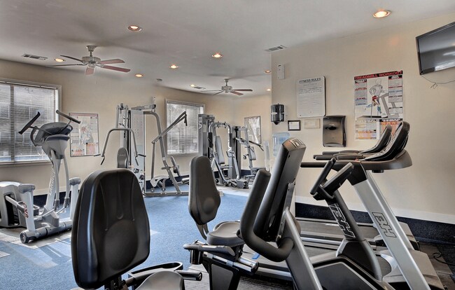 Verde Vue Apartments - Savannah, GA, 31406 | Apartments.com Verde Vue Apartments - Savannah, GA, 31406 | Apartments.com