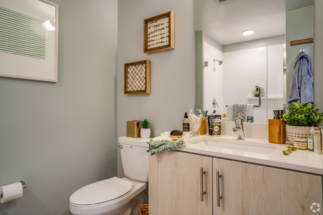 Oliv Tempe - 704 S Myrtle Ave Tempe, AZ 85281 | Apartments.com