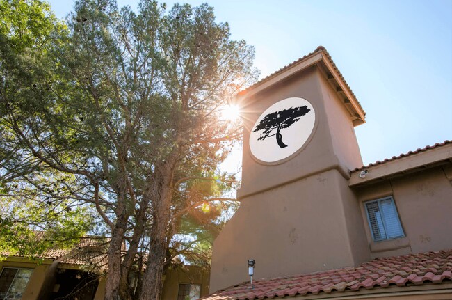 Cinnamon Tree - Apartments in Albuquerque, NM | Apartments.com