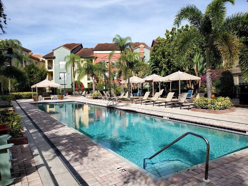 2402 W Azeele St Unit #429, Tampa, FL 33609 | Apartments.com