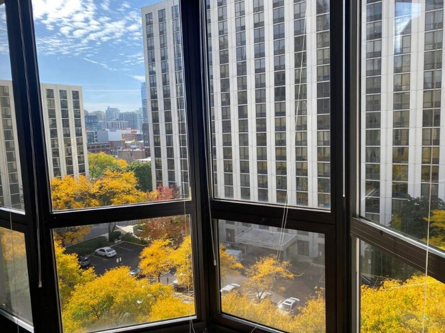 1011 N La Salle St Unit 902, Chicago, IL 60601 | Apartments.com