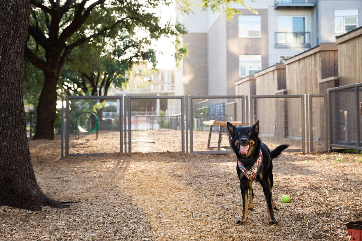 Gallery at The Domain - 1119 Alterra Pky Austin, TX 78758 | Apartments.com