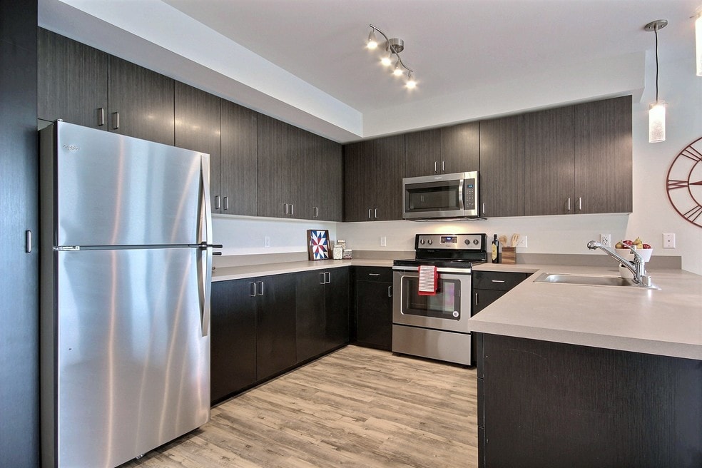 Apartments for Rent in Shoreline WA - 1,875 Rentals | Apartments.com