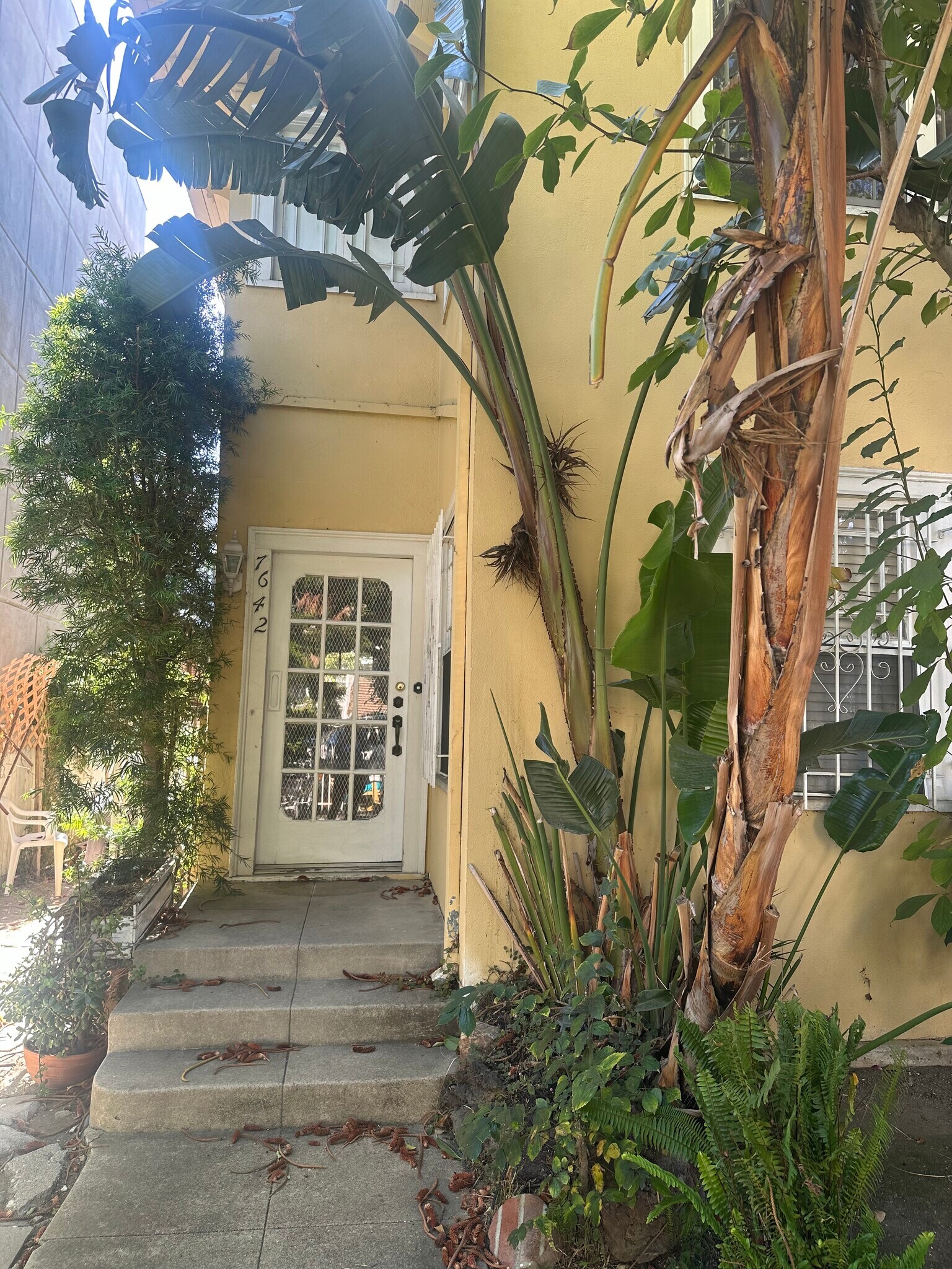 7644 Hampton Ave, West Hollywood, CA 90046 - House Rental in West ...