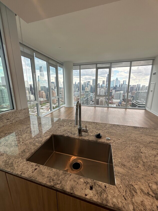 1200 N Wells St Unit 1308, Chicago, IL 60610 - Condo for Rent in ...