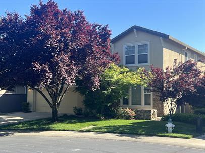 515 Borders Ct, El Dorado Hills, CA 95762 - House Rental in El Dorado ...