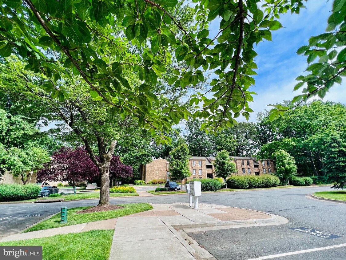 2326 Freetown Ct Unit 2B, Reston, VA 20191 - Room for Rent in Reston ...