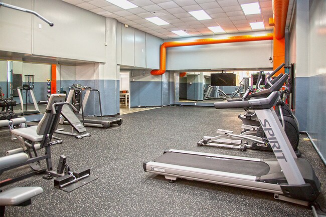 Delmar Loop Apartments Apartments - Saint Louis, MO | Apartments.com