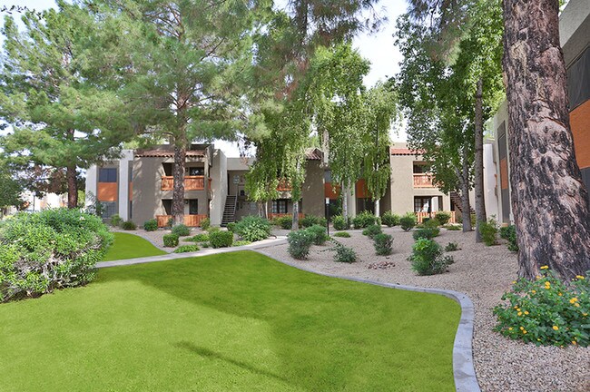 Del Sol Rentals - Scottsdale, AZ | Apartments.com