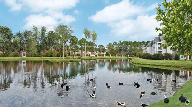 The Enclave Apartments - Panama City, FL | Apartments.com