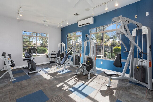 Stone Canyon Apartments - Mesa, AZ | Apartments.com