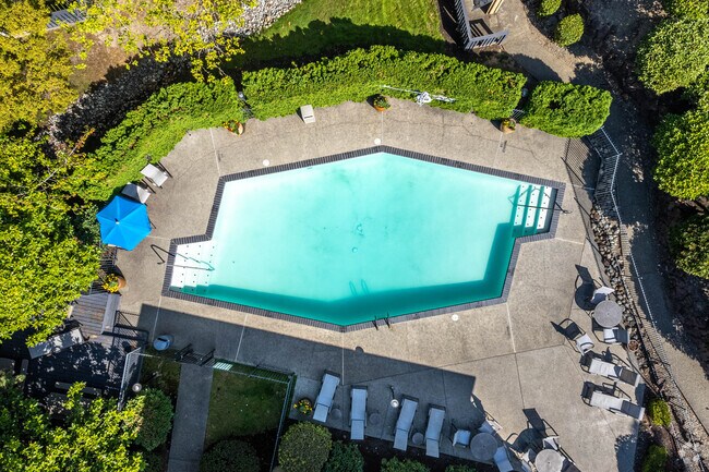 Springbrook Terrace Apartments for Rent with a Dog Park - Renton, WA ...
