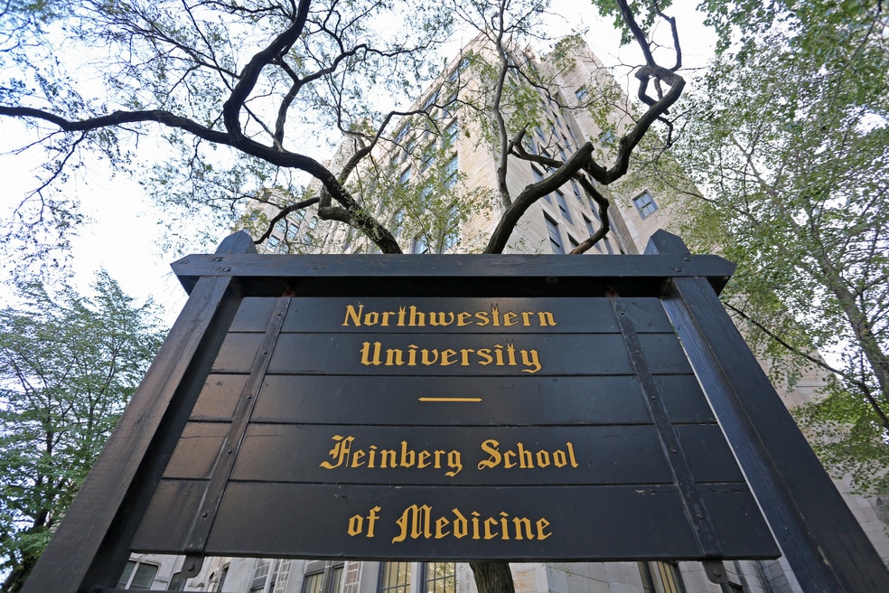 Is Streeterville a Good Place To Live in Chicago IL? - Neighborhood ...